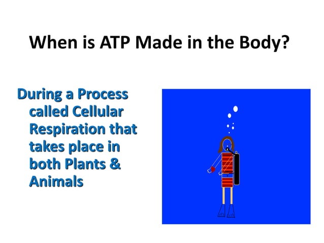 What Is ATP.ppt