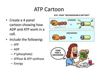 What Is ATP.ppt
