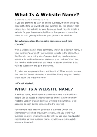 What Is A Website Name.pdf
