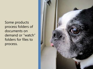 What is Batch Document Processing? A tutorial for document capture. | PPT