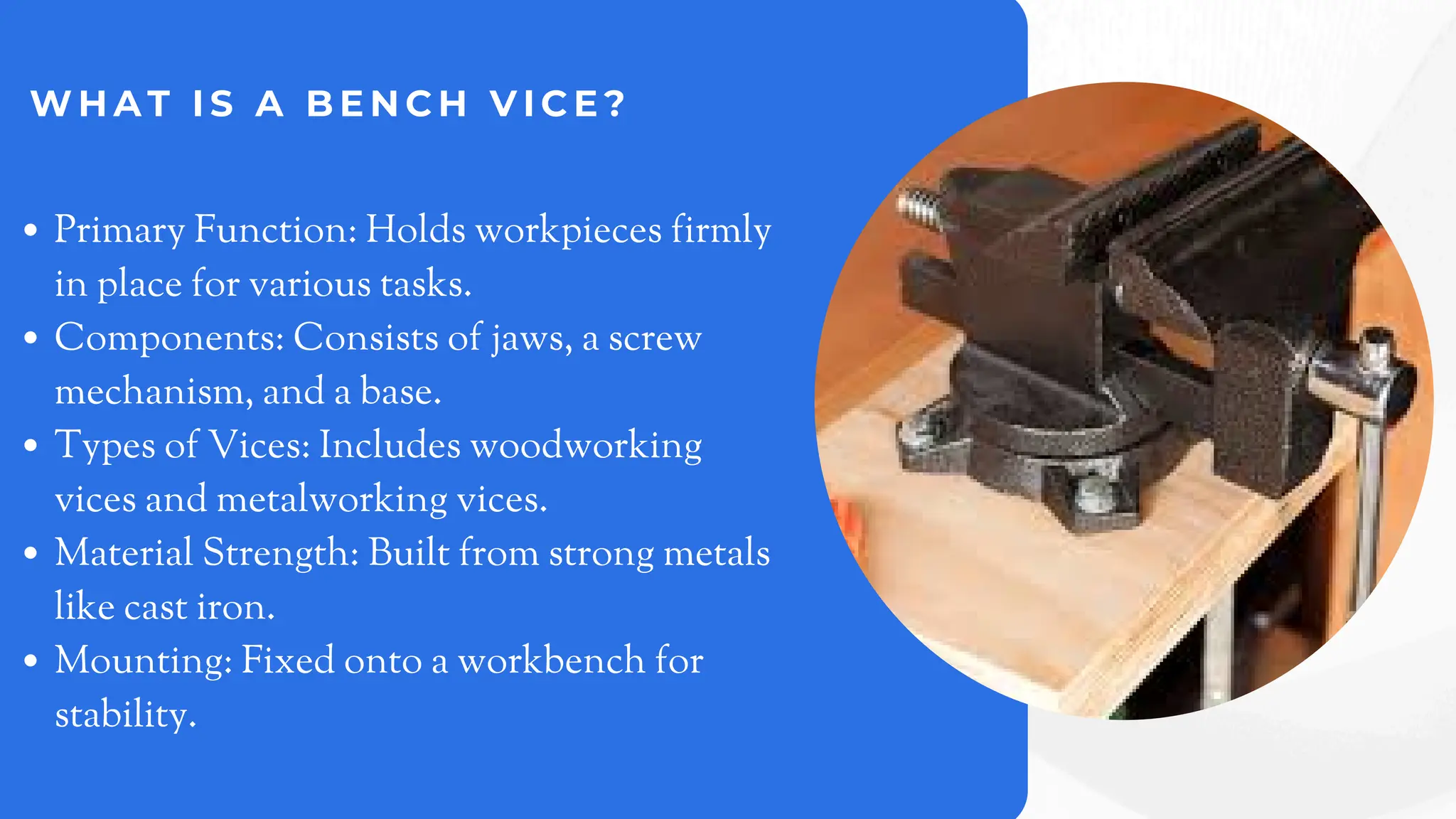 What Is a Bench Vice? A Comprehensive Guide for Beginners | PPT