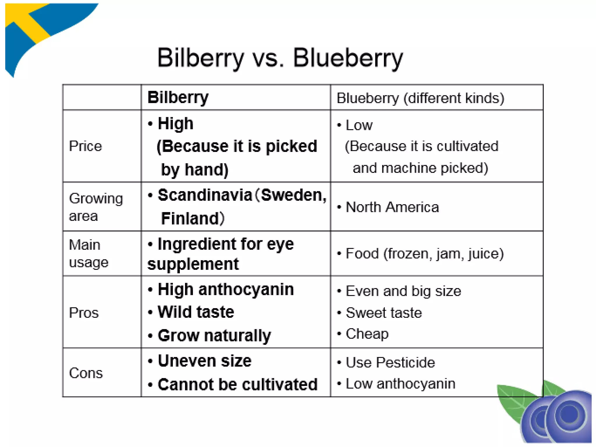 What is bilberry | PPTX