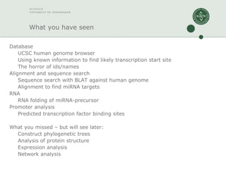 What Is Bioinformatics? | PPT