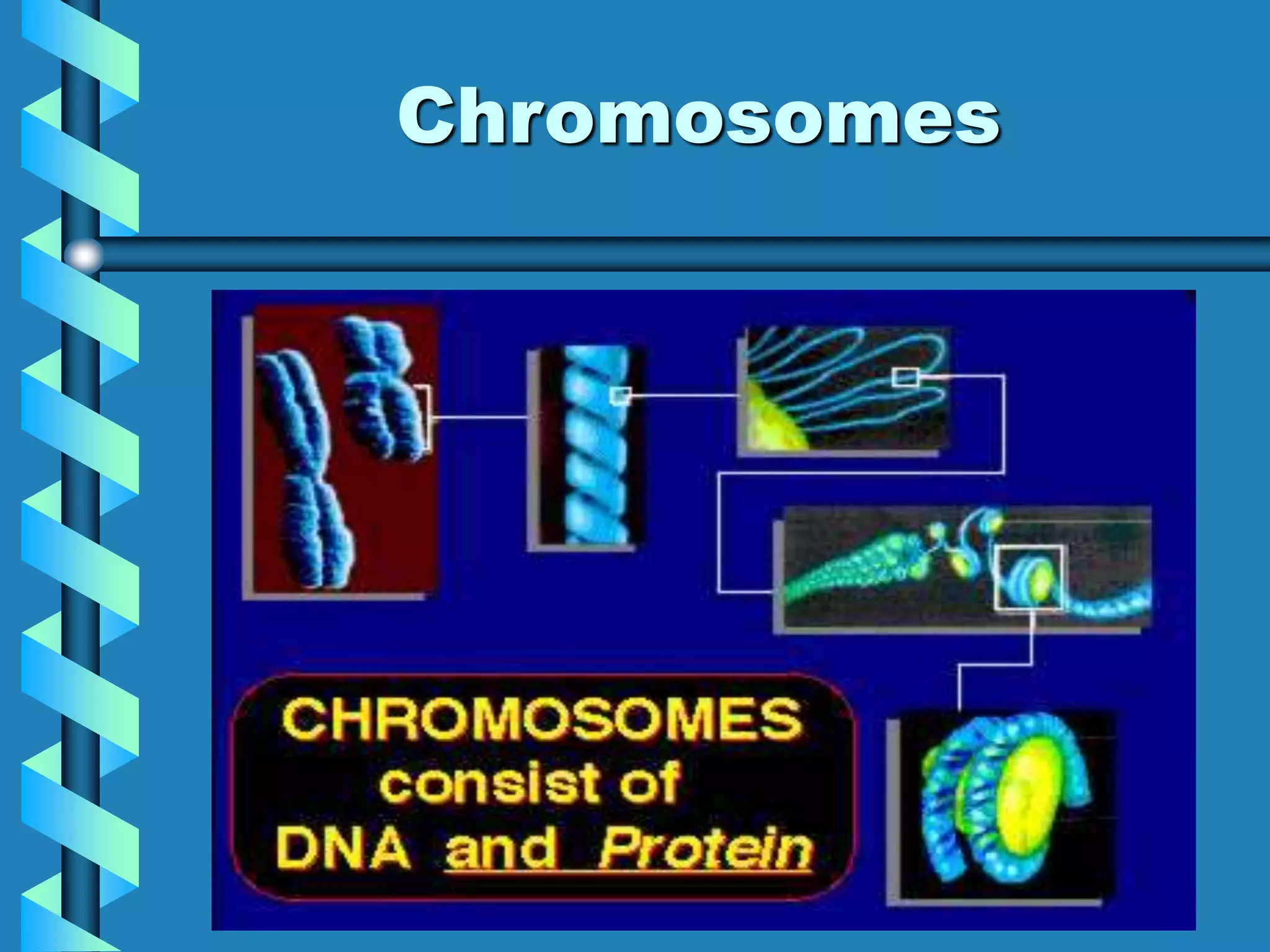 what is bioinformatics.ppt