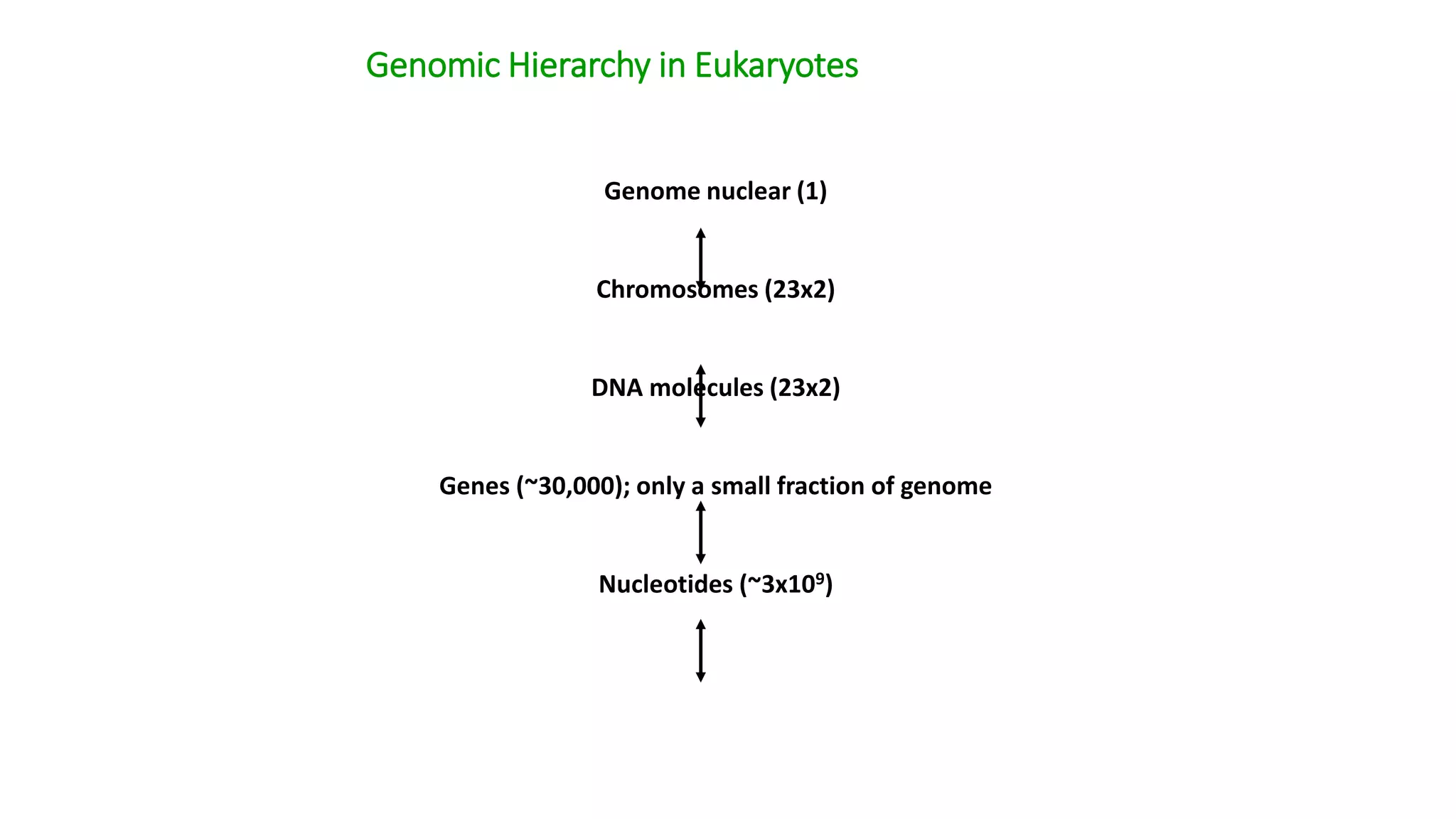What Is Bioinformatics Pdf