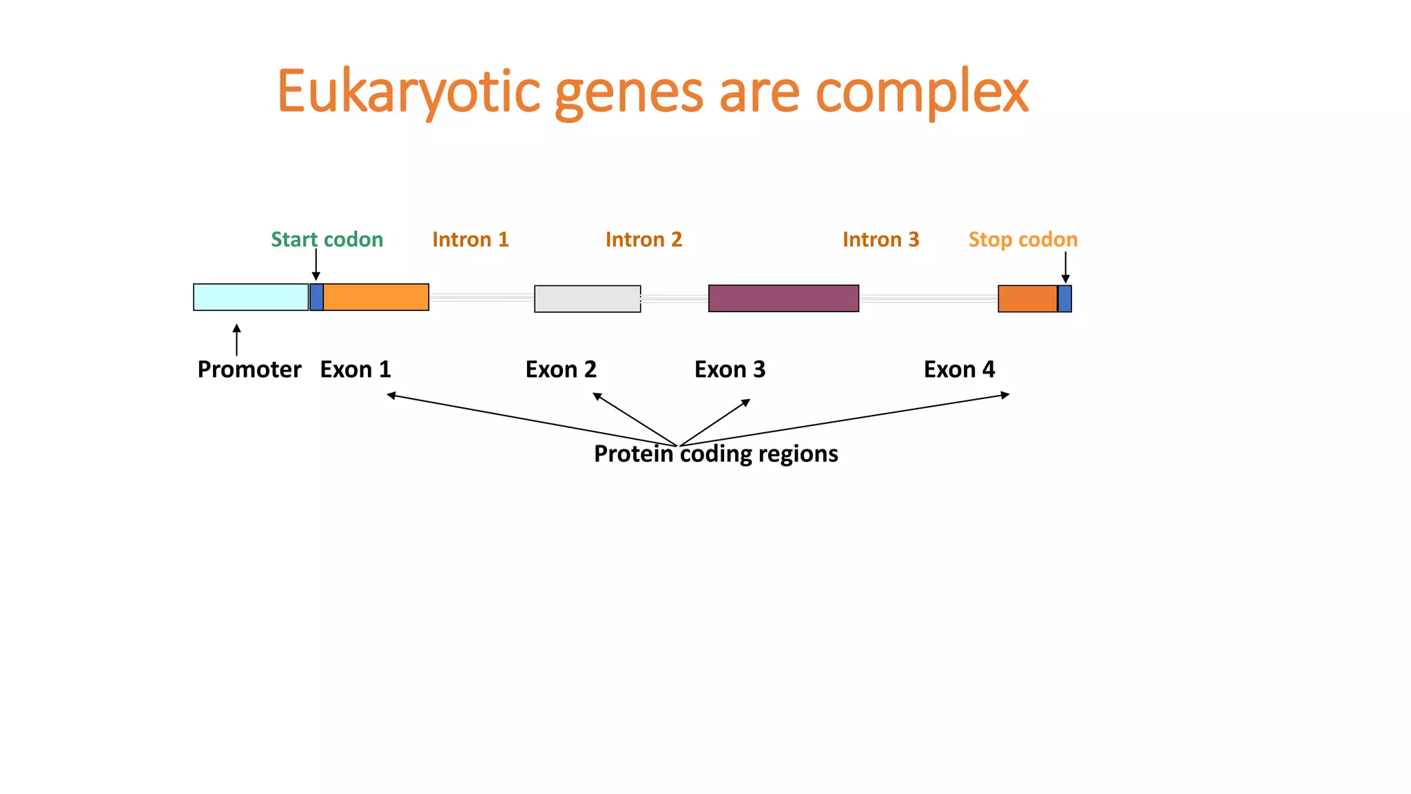 What is Bioinformatics.pdf