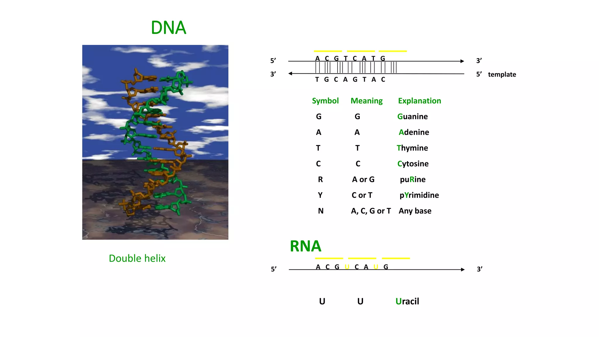 What is Bioinformatics.pdf