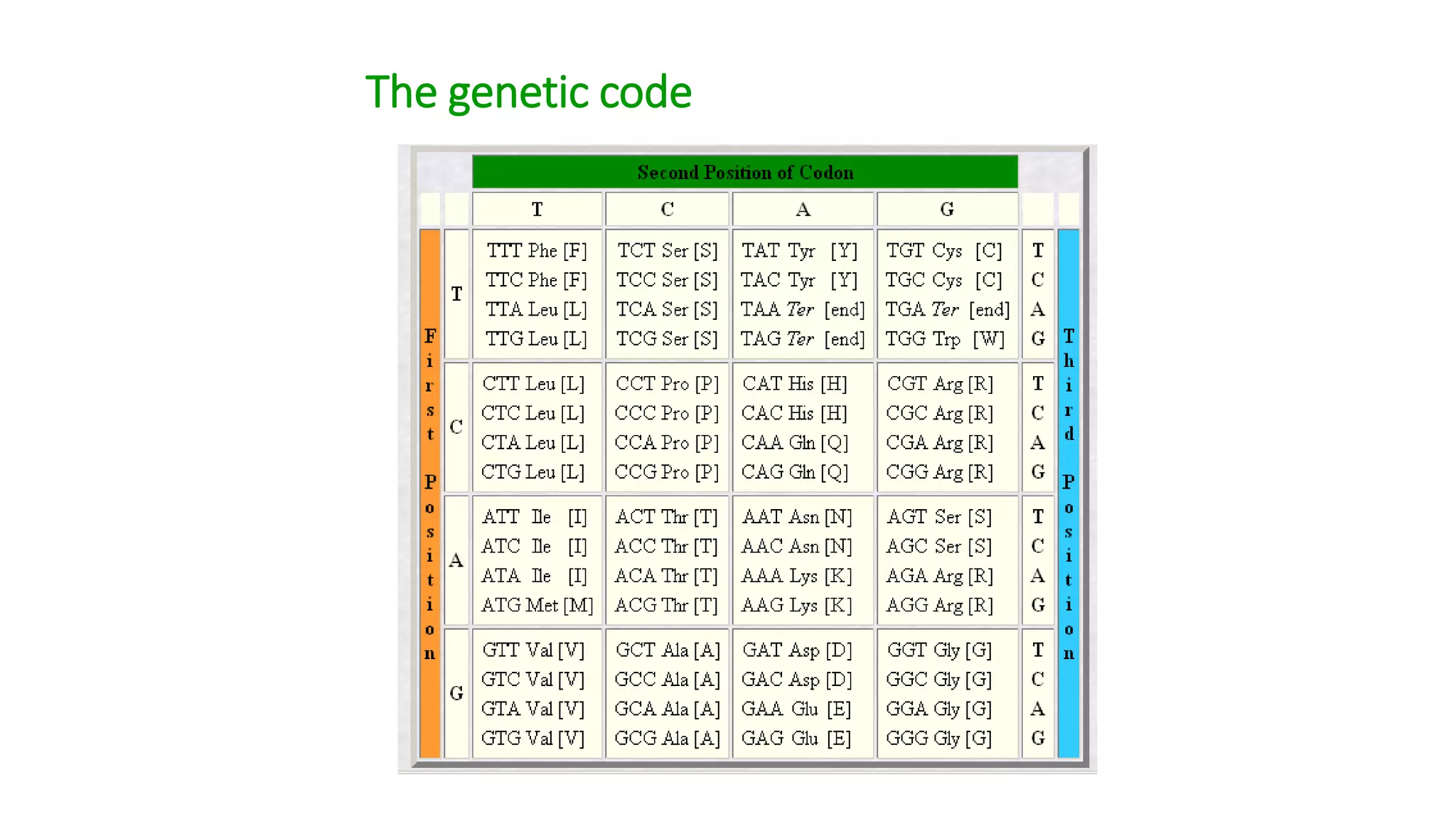 What Is Bioinformatics Pdf