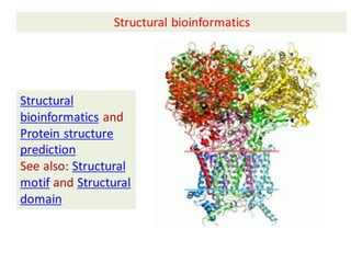 What_is_Bioinformatics_Dr_Sudha.pdf
