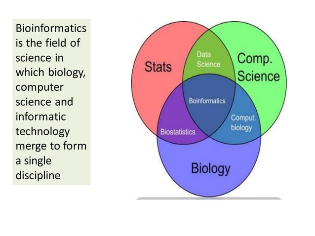 What_is_Bioinformatics_Dr_Sudha.pdf