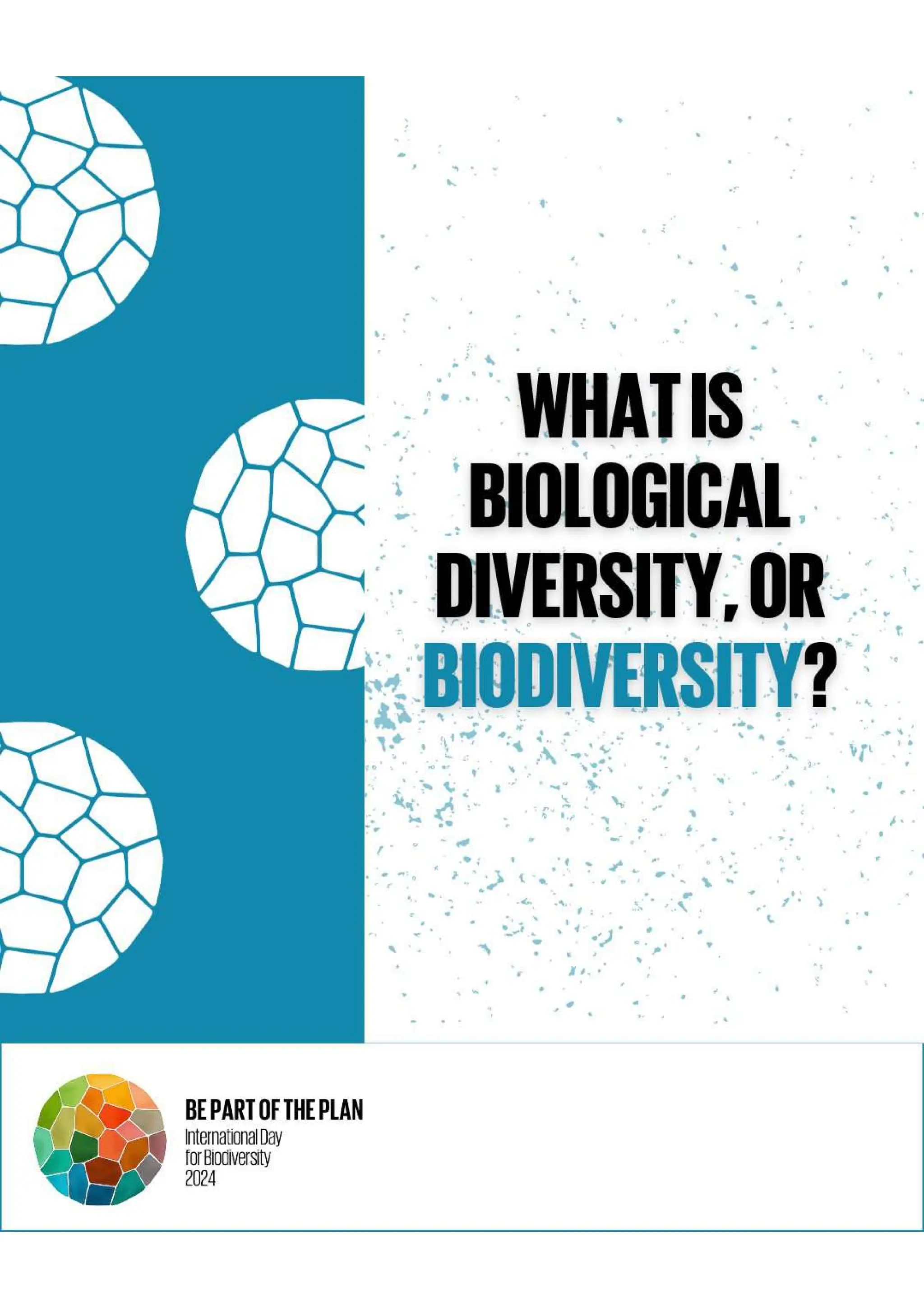 Frequently Asked Questions - What is biological diversity? | PDF