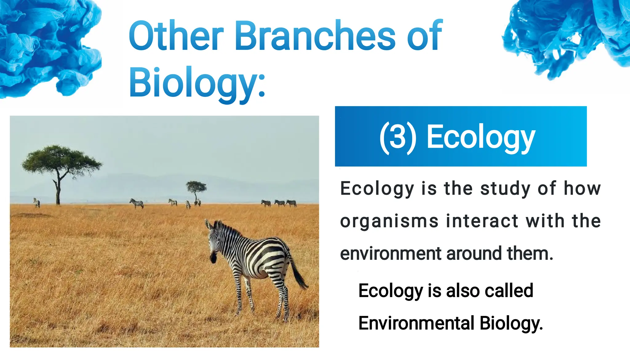 what is biology and its branches for Learners.pdf