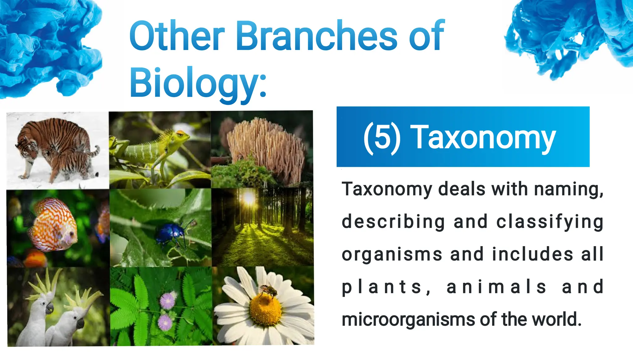 what is biology and its branches for Learners.pdf