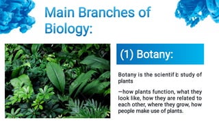 what is biology and its branches for Learners.pdf
