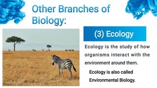 what is biology and its branches for Learners.pdf
