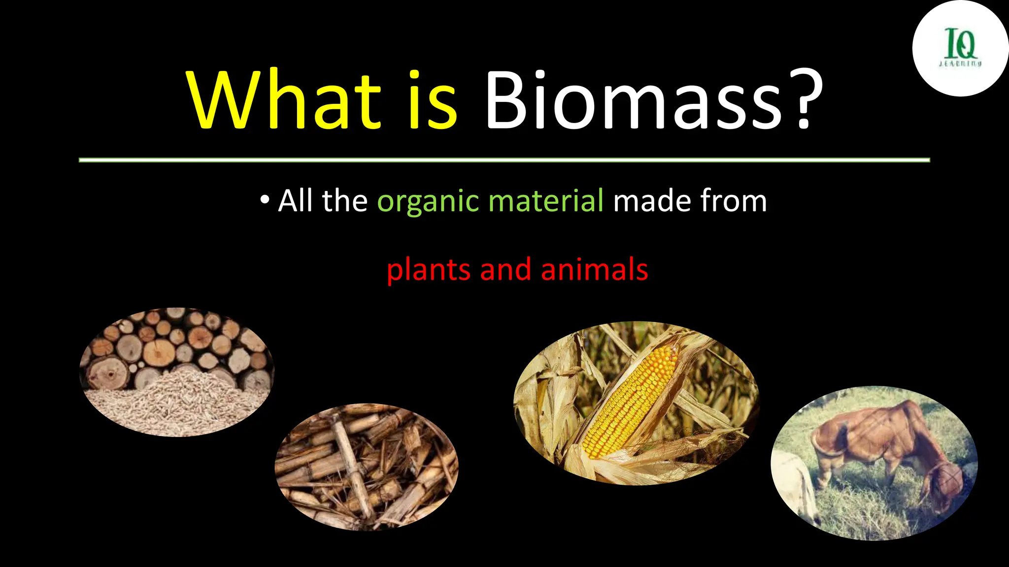 what is biomass.pptx