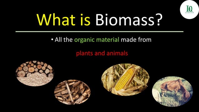what is biomass.pptx
