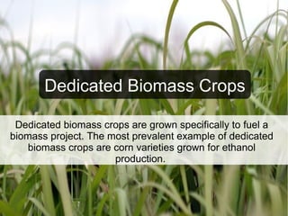 What is Biomass Fuels & Types of Biomass Fuels Energy | PPT