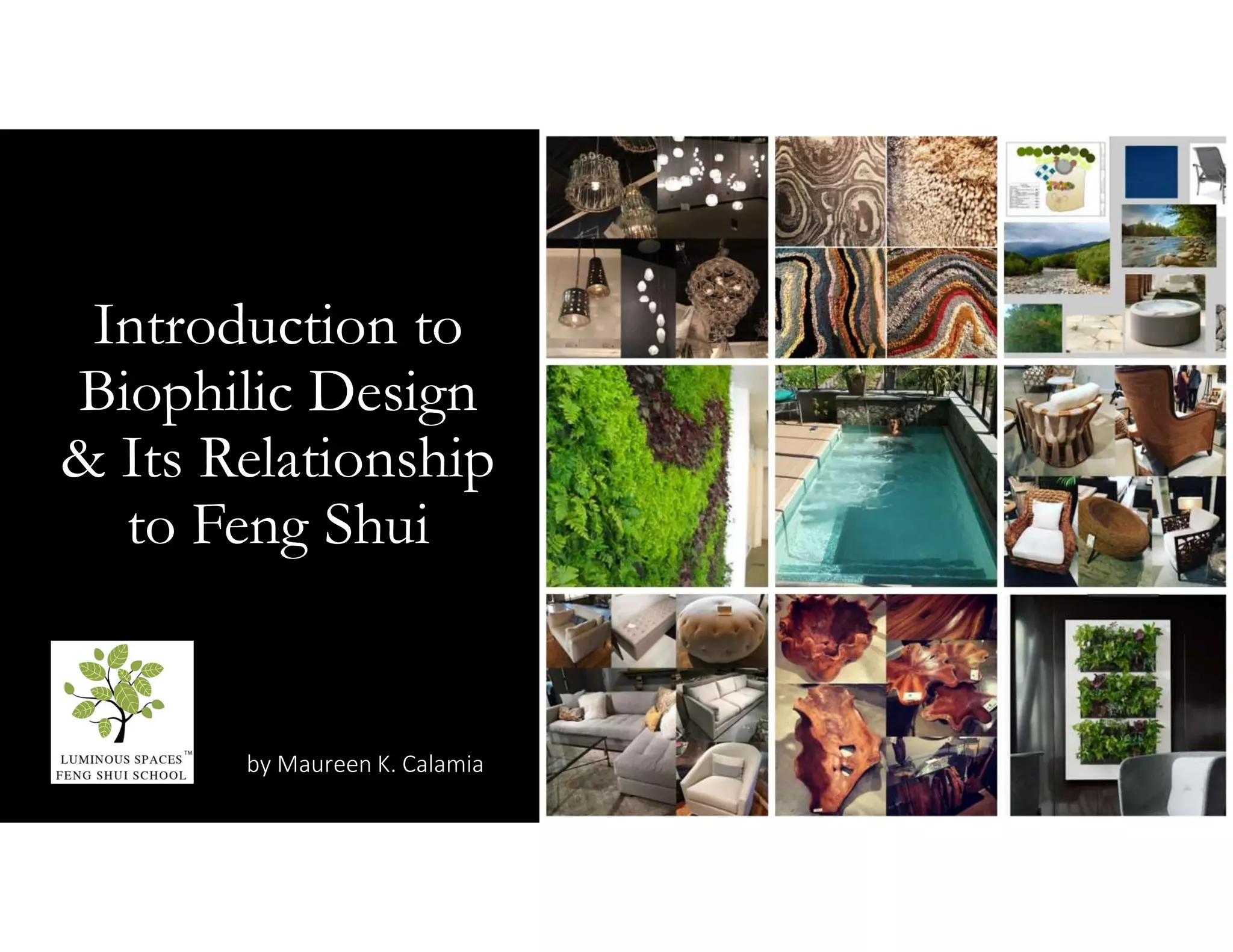 Introduction to Biophilic Design & Its Relationship to Feng Shui | PPT