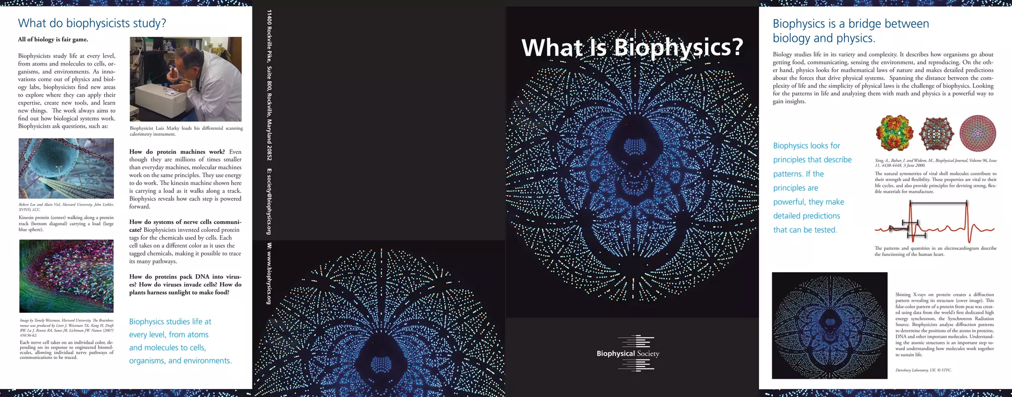 What is biophysics brochure | PPT