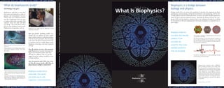 What is biophysics brochure | PPT