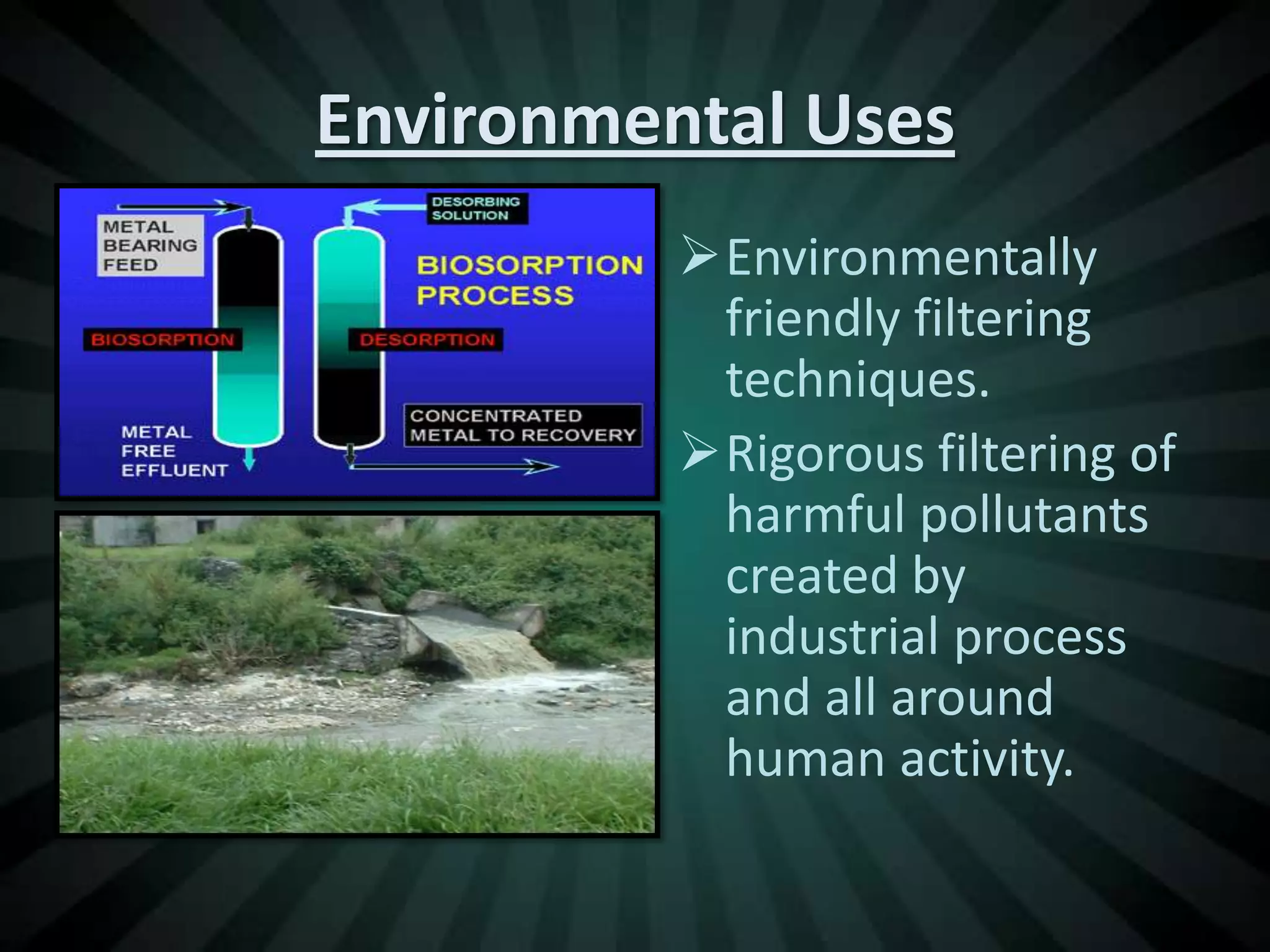 What is biosorption | PPTX