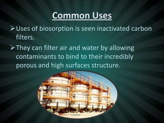 What is biosorption | PPTX