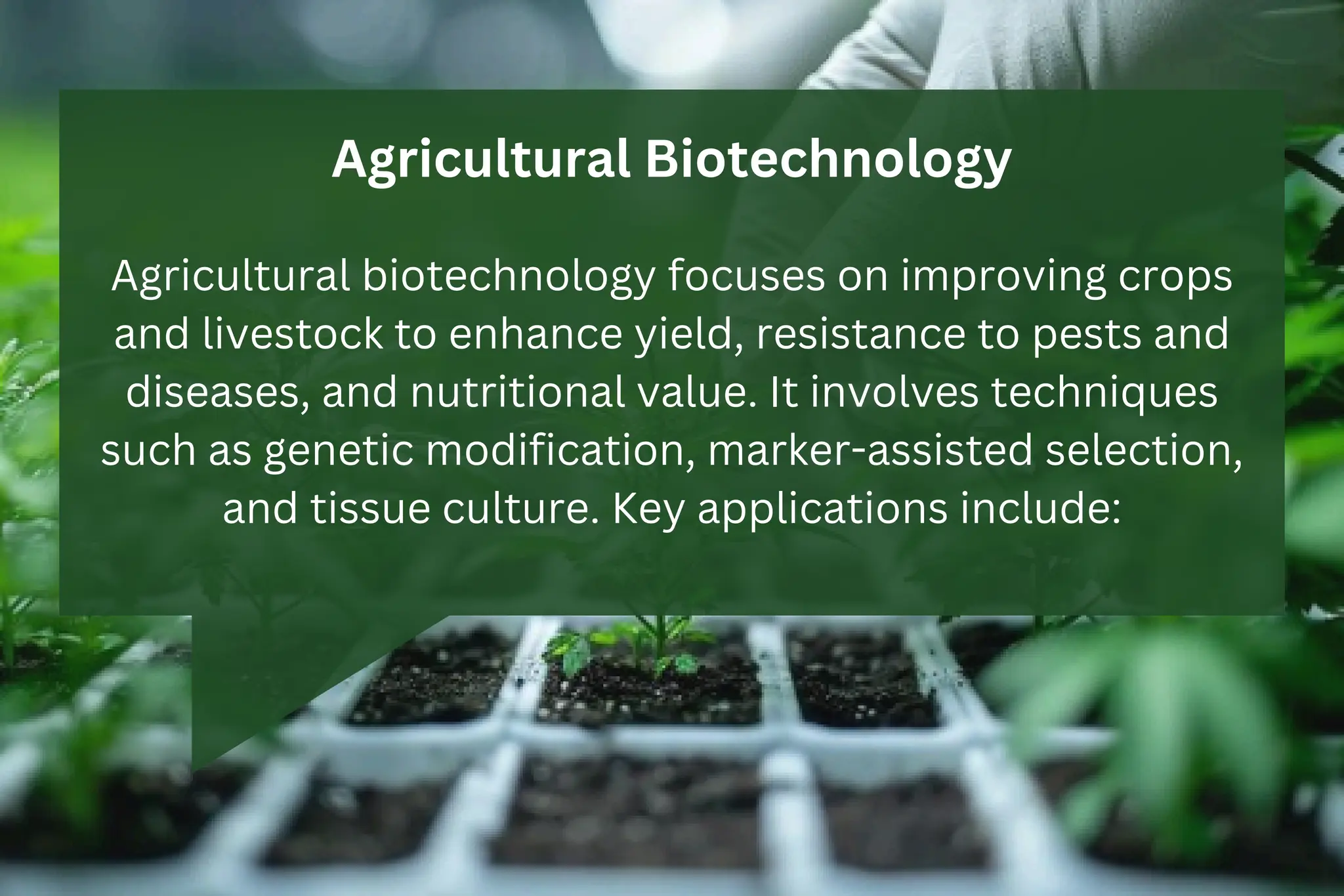 What is Biotechnology Explore Definition, Types, Courses, and More.pdf