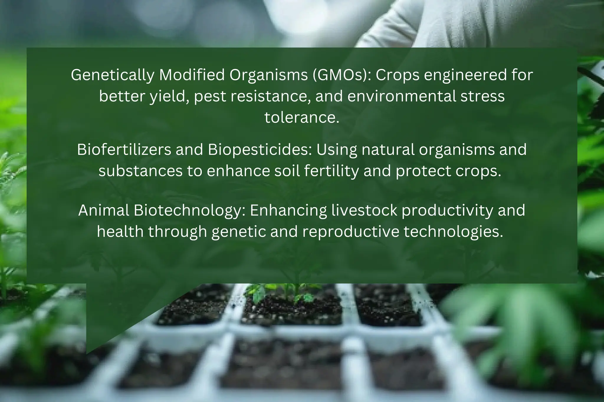 What is Biotechnology Explore Definition, Types, Courses, and More.pdf