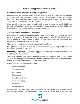 What Is Buddypress And How To Use It ? WordPressExperts | PDF