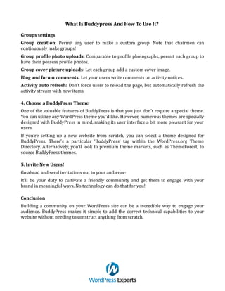 What Is Buddypress And How To Use It ? WordPressExperts | PDF
