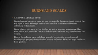 What is burn and scalds | PPTX