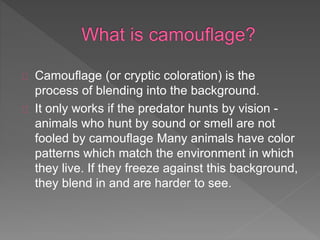 What is camouflage | PPTX