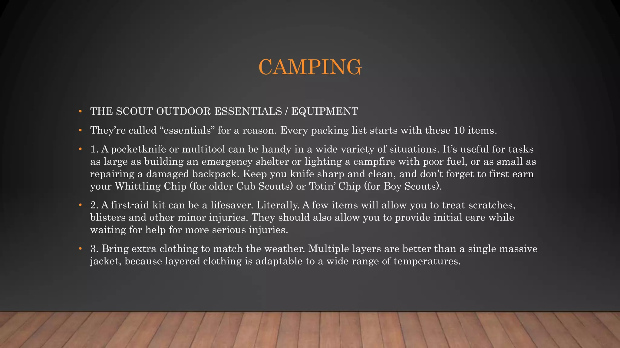 What is camping | PPTX