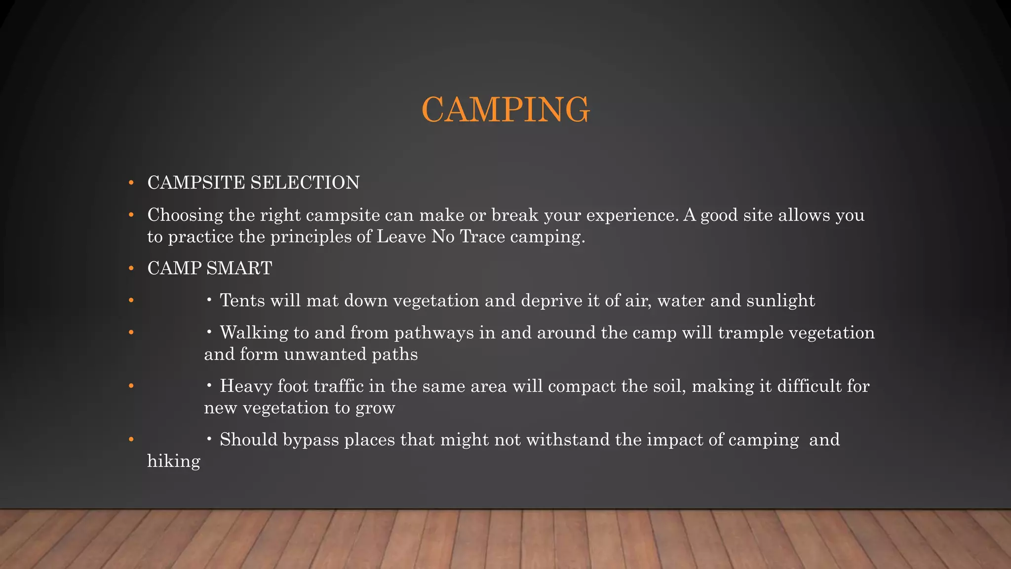 What is camping | PPTX