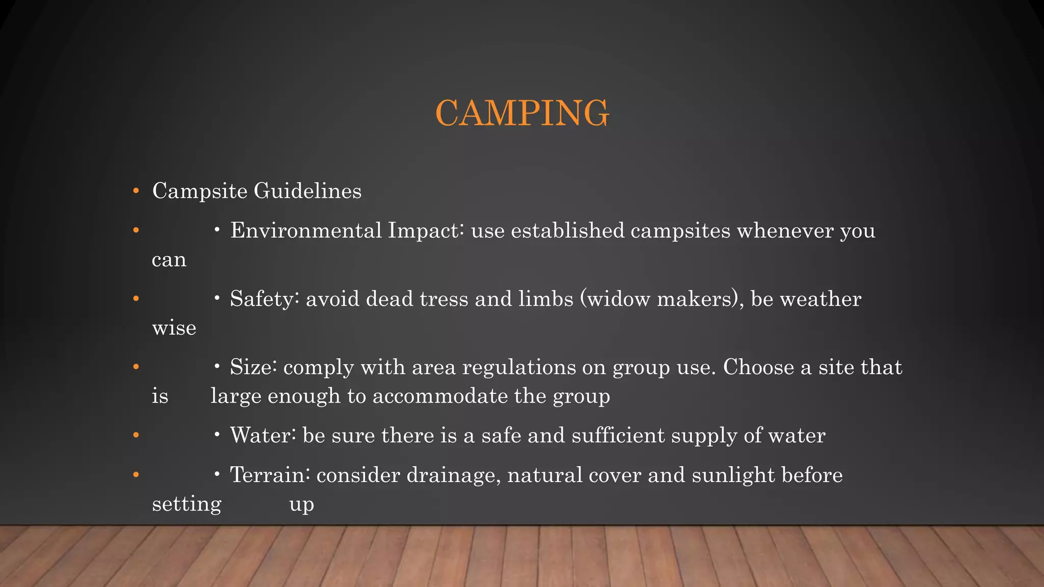 What is camping | PPTX