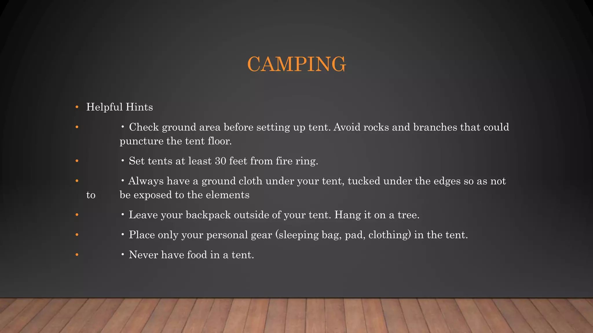 What is camping | PPTX