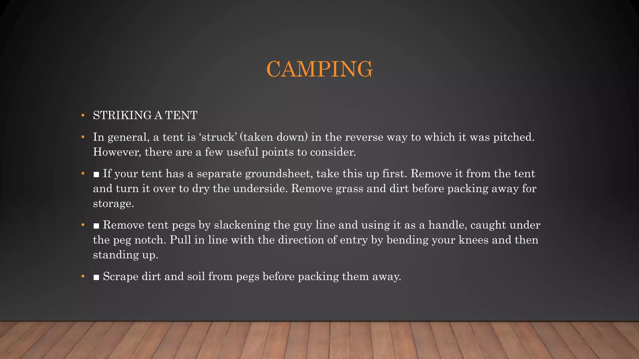 What is camping | PPTX