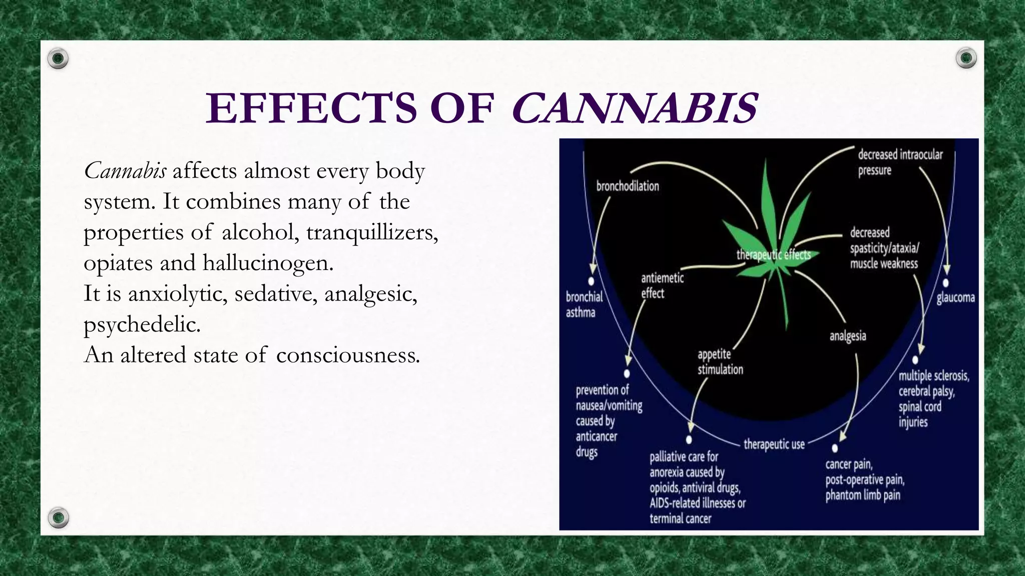 Cannabis | PPTX