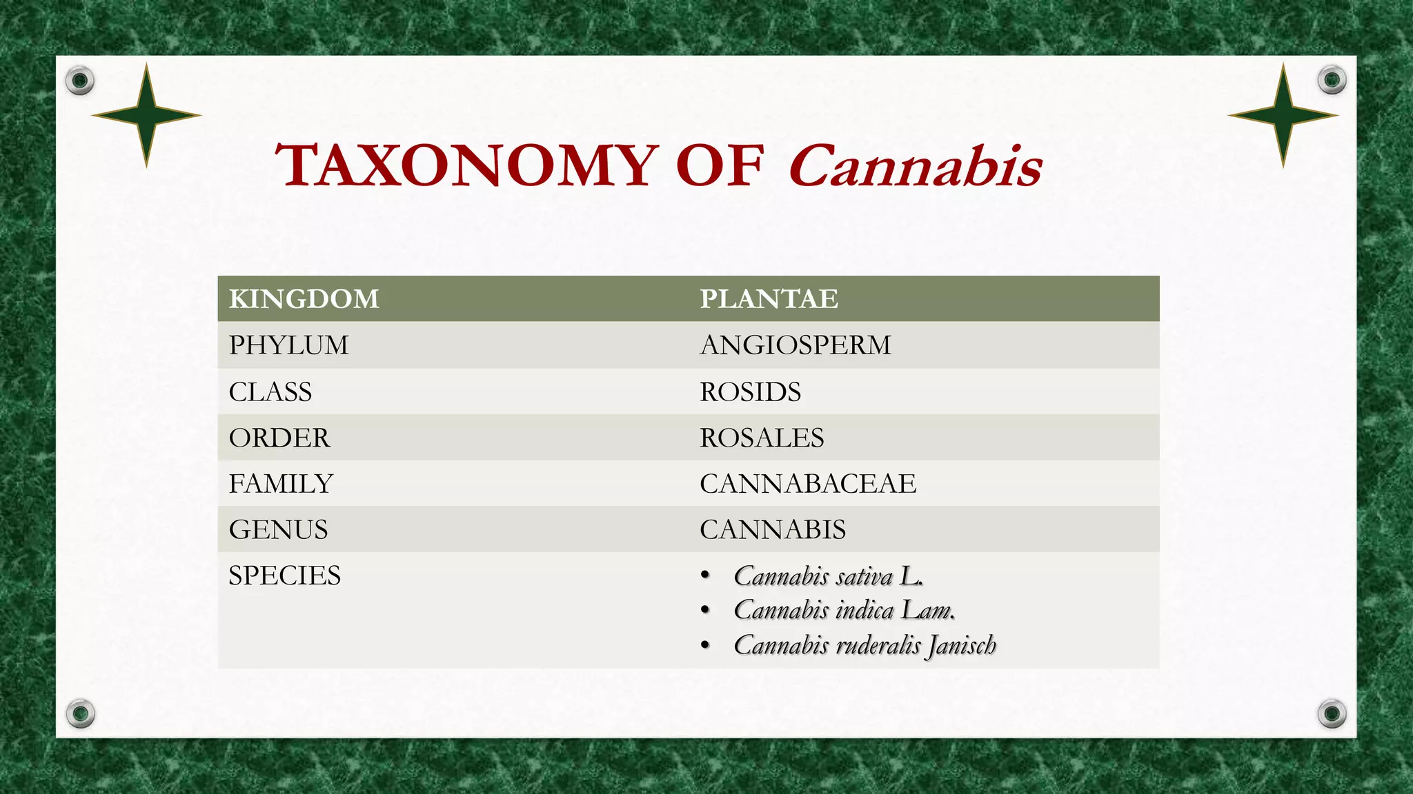 Cannabis | PPTX