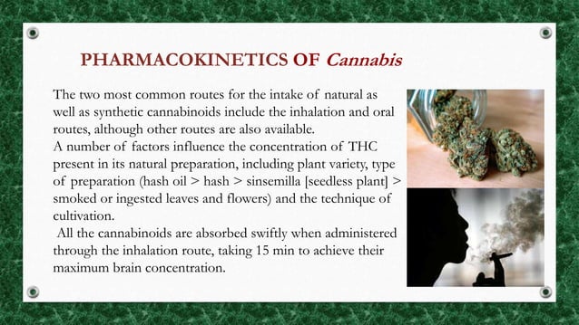 Cannabis | PPTX