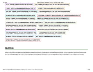 What is Cannabis Purging and How Do You Set up a Purge Cycle? | PPT