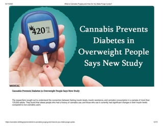 What is Cannabis Purging and How Do You Set up a Purge Cycle? | PPT