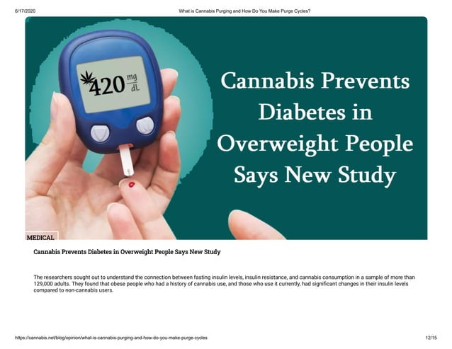 What is Cannabis Purging and How Do You Set up a Purge Cycle? | PPT