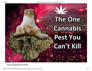 What is Cannabis Purging and How Do You Set up a Purge Cycle? | PPT