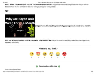 What is Cannabis Purging and How Do You Set up a Purge Cycle? | PPT