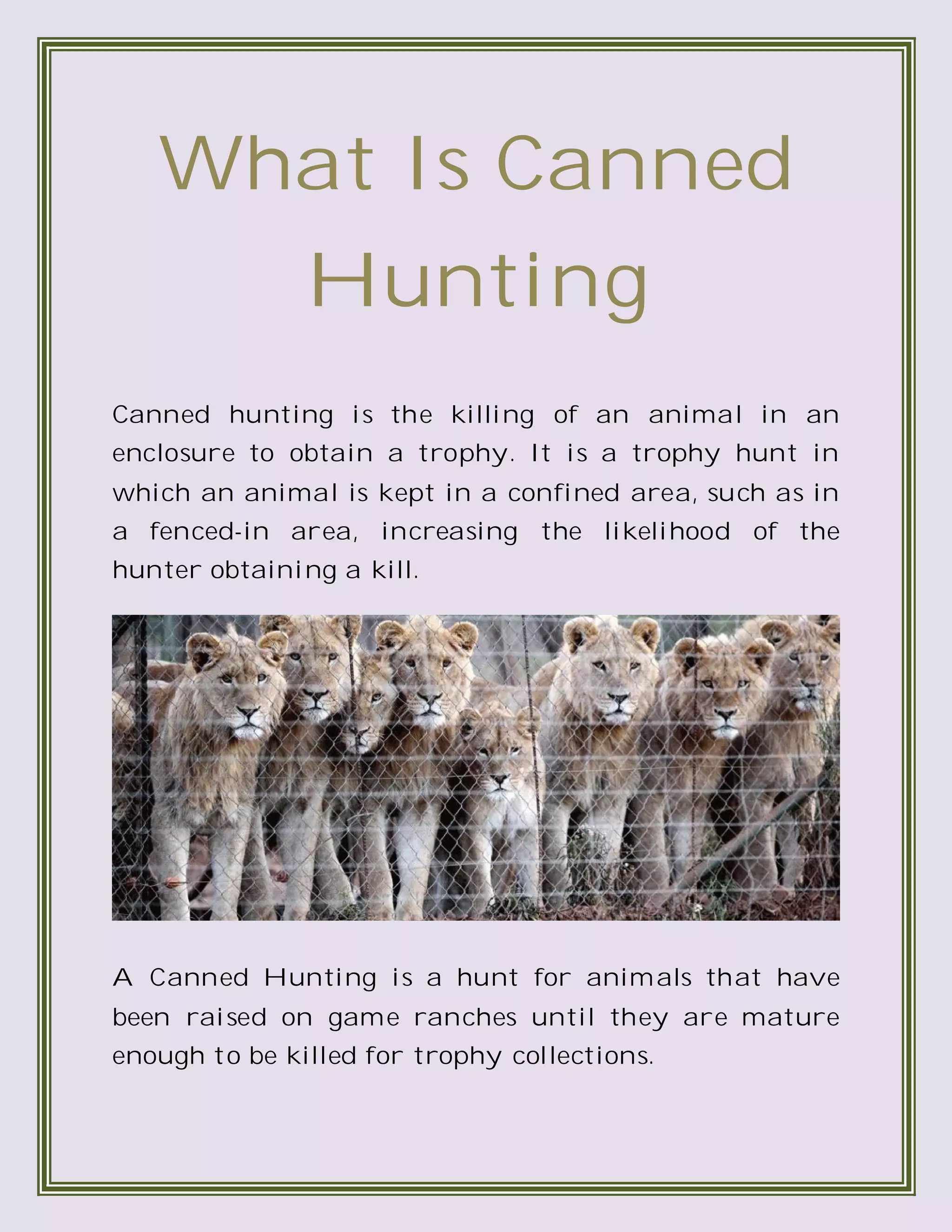 What is Canned Hunting | PDF | Hunting and Shooting | Sports