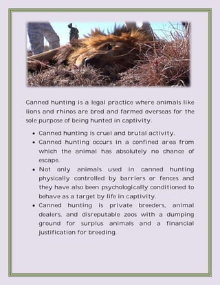 What is Canned Hunting | PDF