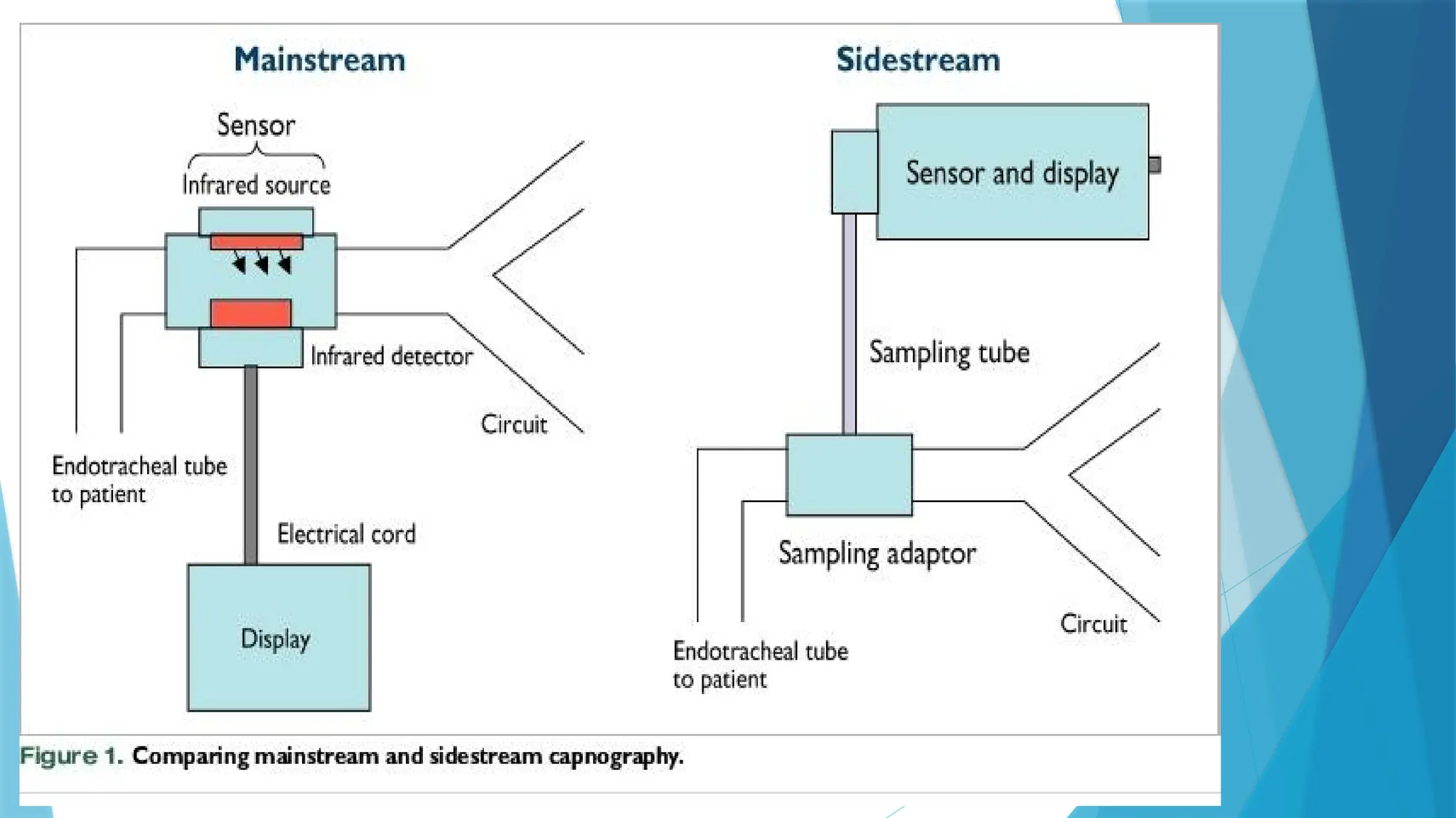 What is Capnography anesthesia point of view | PPTX