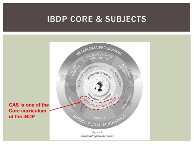 What is CAS? (IBDP) | PPTX | Educational Assessment | Education